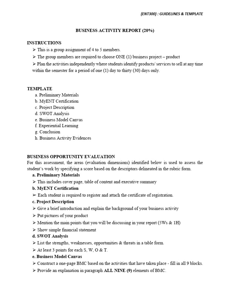 Ent300 Guidelines Mac2024 | PDF | Rubric (Academic) | Budget