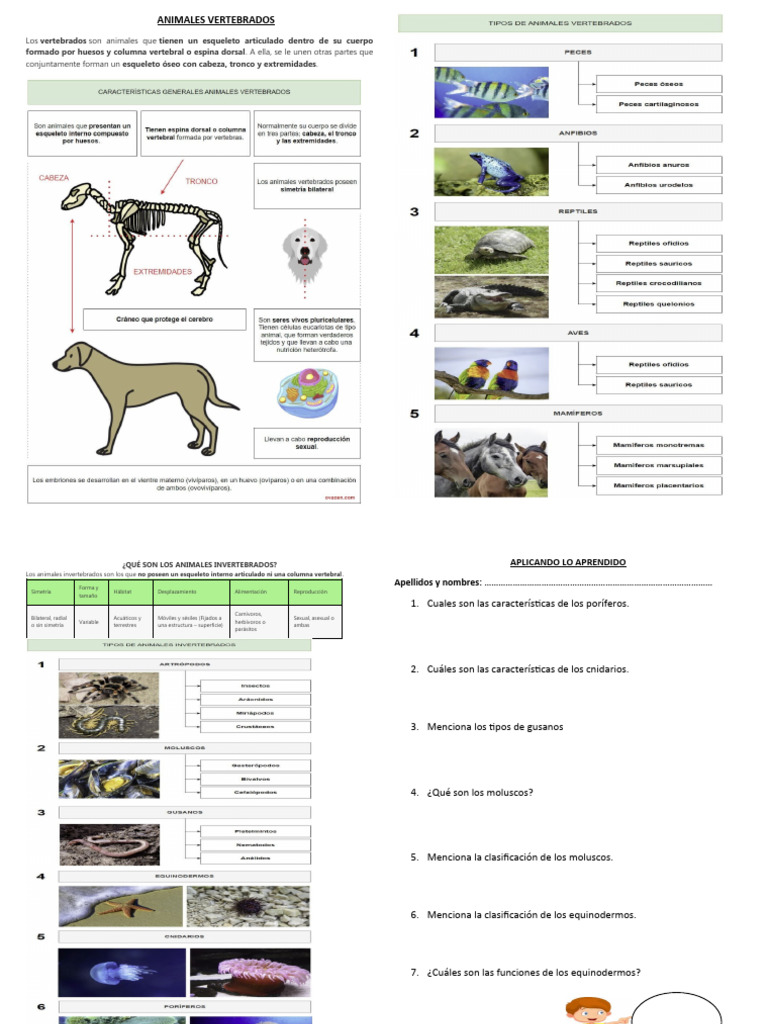 Caracteriticas de Los Animales Invertebrados y Vetebrados | PDF ...
