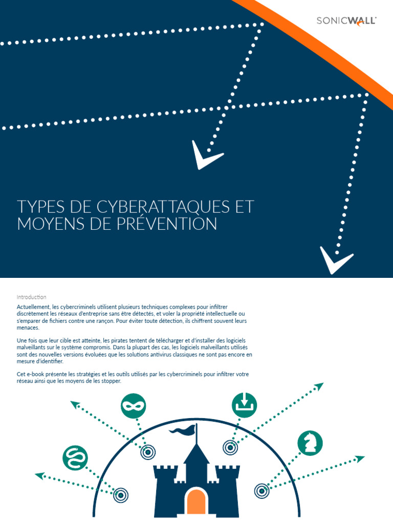 Types de Cyber Attaque Et Moyens de Prévention | PDF | Logiciel ...