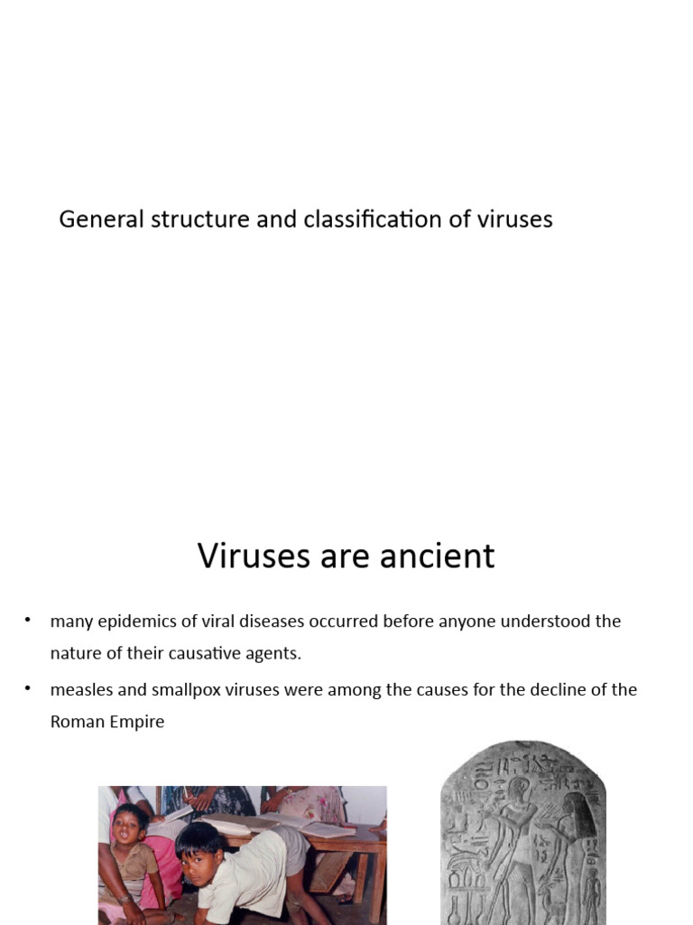 01 - General Structure and Classification of Viruses1 | PDF | Virus | Reverse Transcriptase