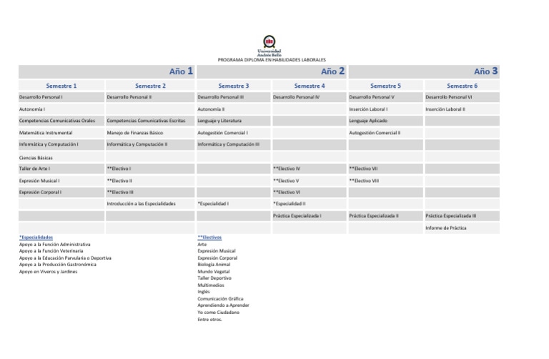 Malla Curricular Diploma Habilidades Laborales Unab | PDF | Ciencias de la Computación | Informática