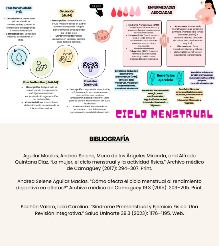 CICLO MENSTRUAL | PDF | Ciclo menstrual | Menstruación