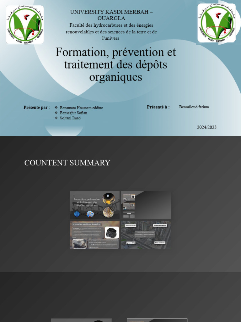 Les Depots Organique(Zoom Effacts) | PDF | Décomposition | Pétrole
