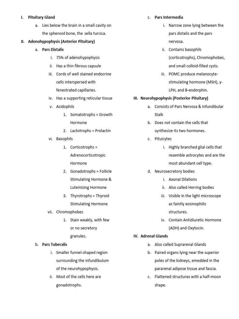 Endocrine Histology Lec | PDF | Adrenal Gland | Pancreas