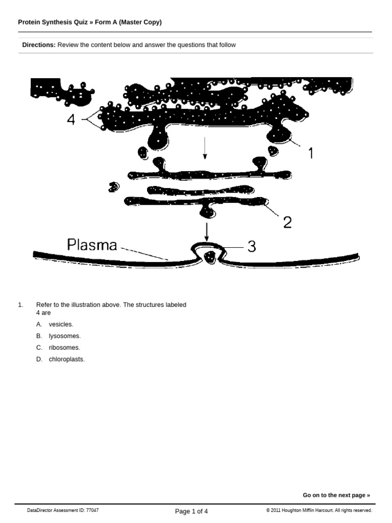 Protein Synthesis Quiz | PDF