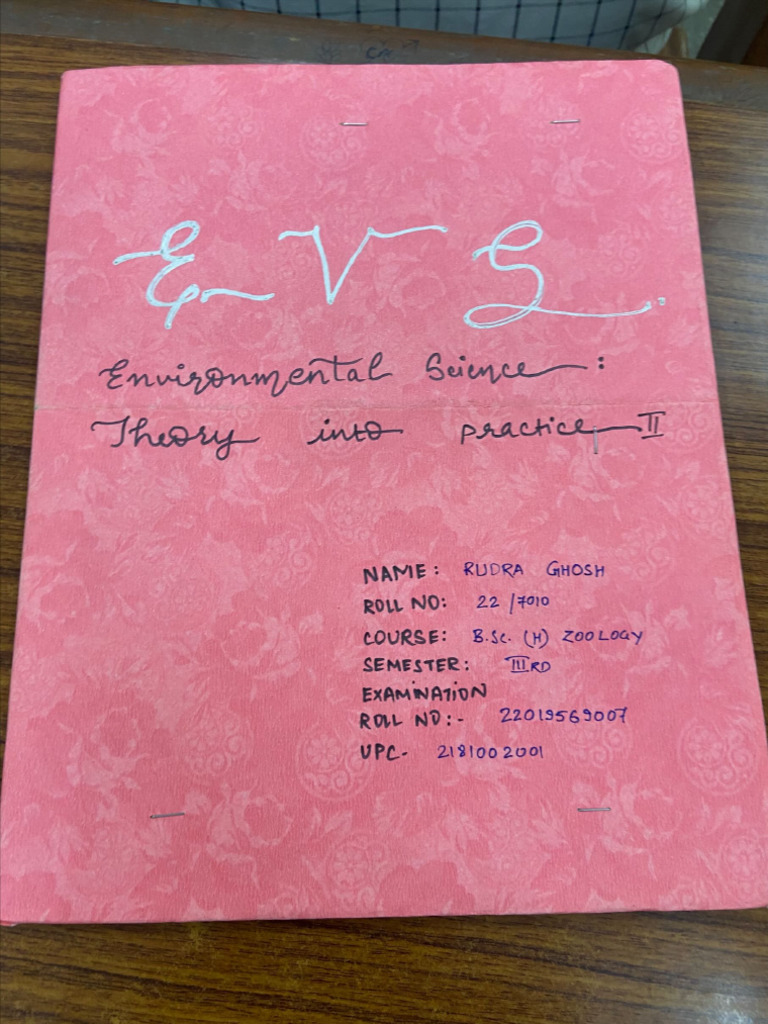 EVS Practical File | PDF