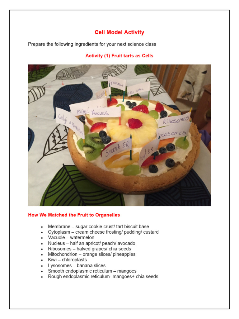 Cell Model Activity | Download Free PDF | Cakes | Cupcake