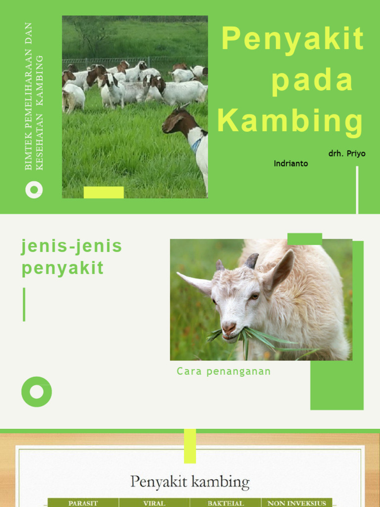 PENYAKIT PADA KAMBING | PDF