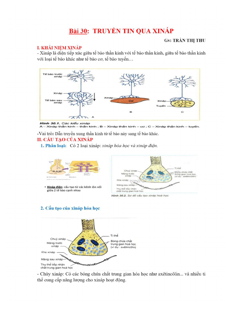 Truyen Tin Qua Xinap | PDF