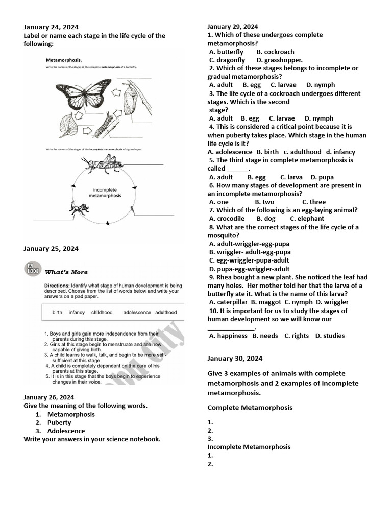 Life Cycles & Metamorphosis Quiz | PDF | Mosquito | Insects