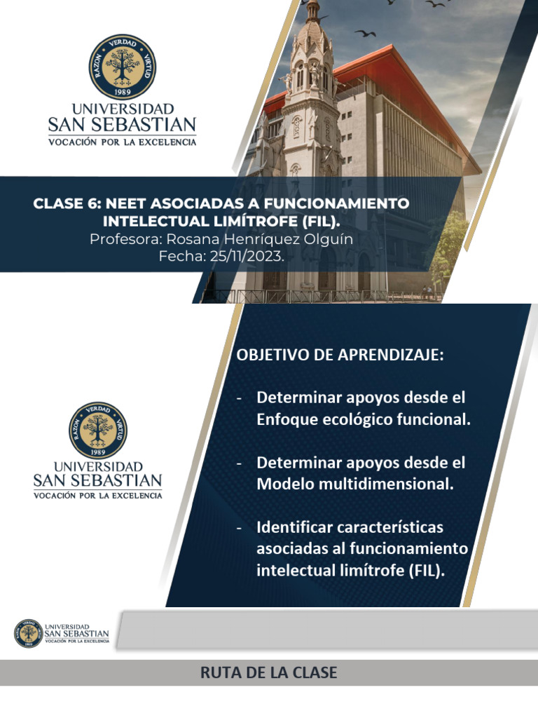 Clase 6 - Neet - Eef - Modelo Multidimensional - Fil | PDF | Evaluación | Salud mental