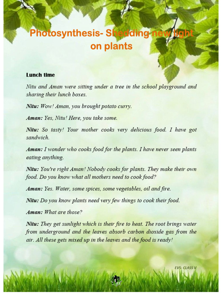 Understanding Photosynthesis in Plants | PDF | Leaf | Photosynthesis