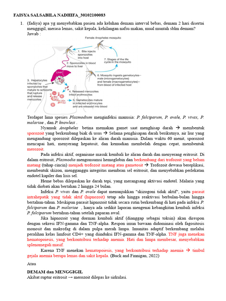 Li LBM 4 Faisya Masalah Hema Imun | PDF