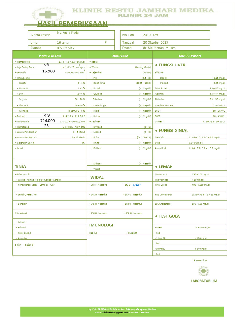 Hasil Lab Aulia | PDF