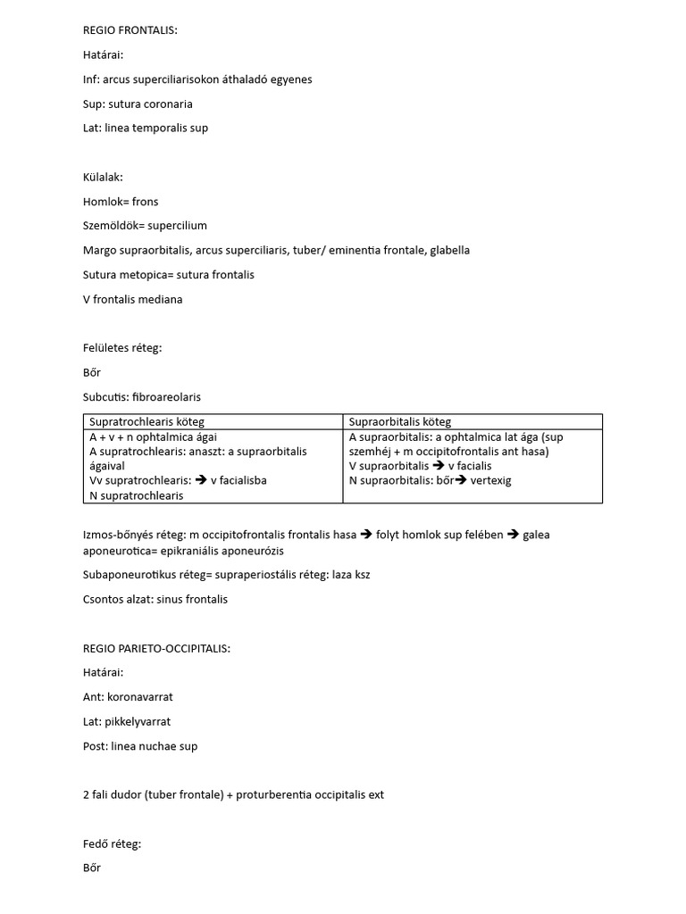 Regio Frontalis | PDF