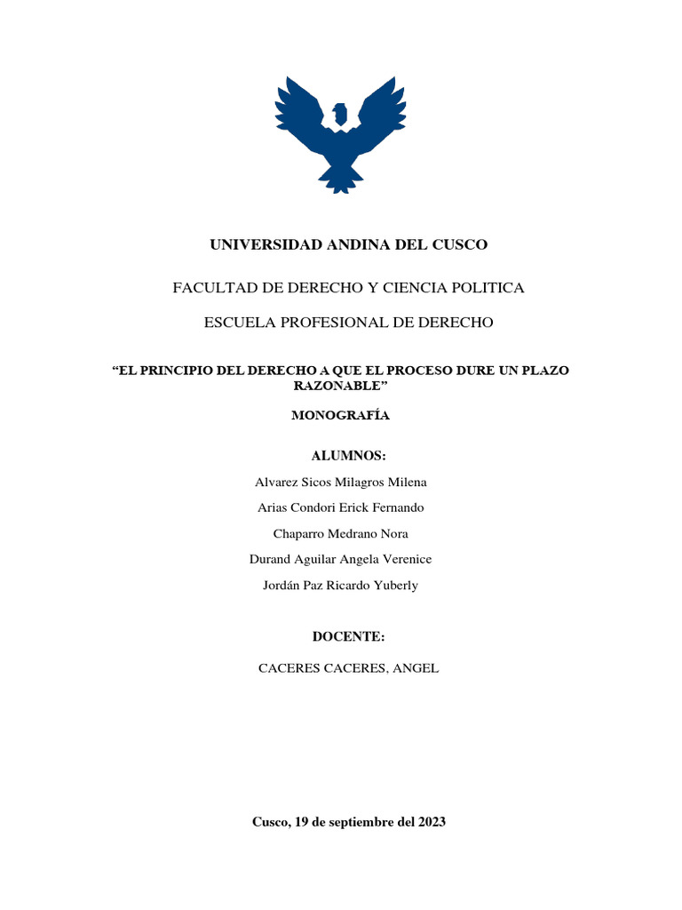 Principio Del Derecho A Que El Proceso Dure Un Plazo Razonable | PDF ...