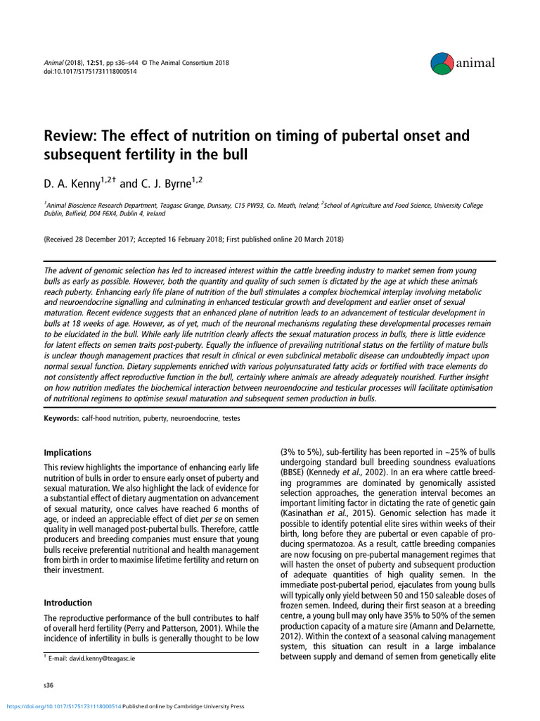 Nutrition's Impact on Bull Puberty & Fertility | PDF | Leptin ...