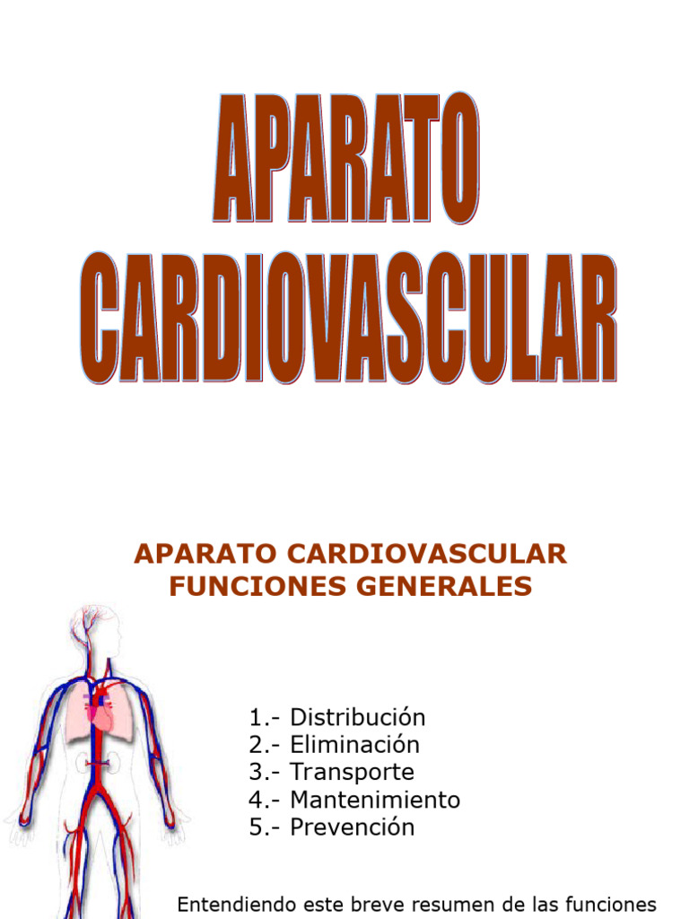 Funciones y Estructura del Aparato Cardiovascular | PDF | Sistema ...