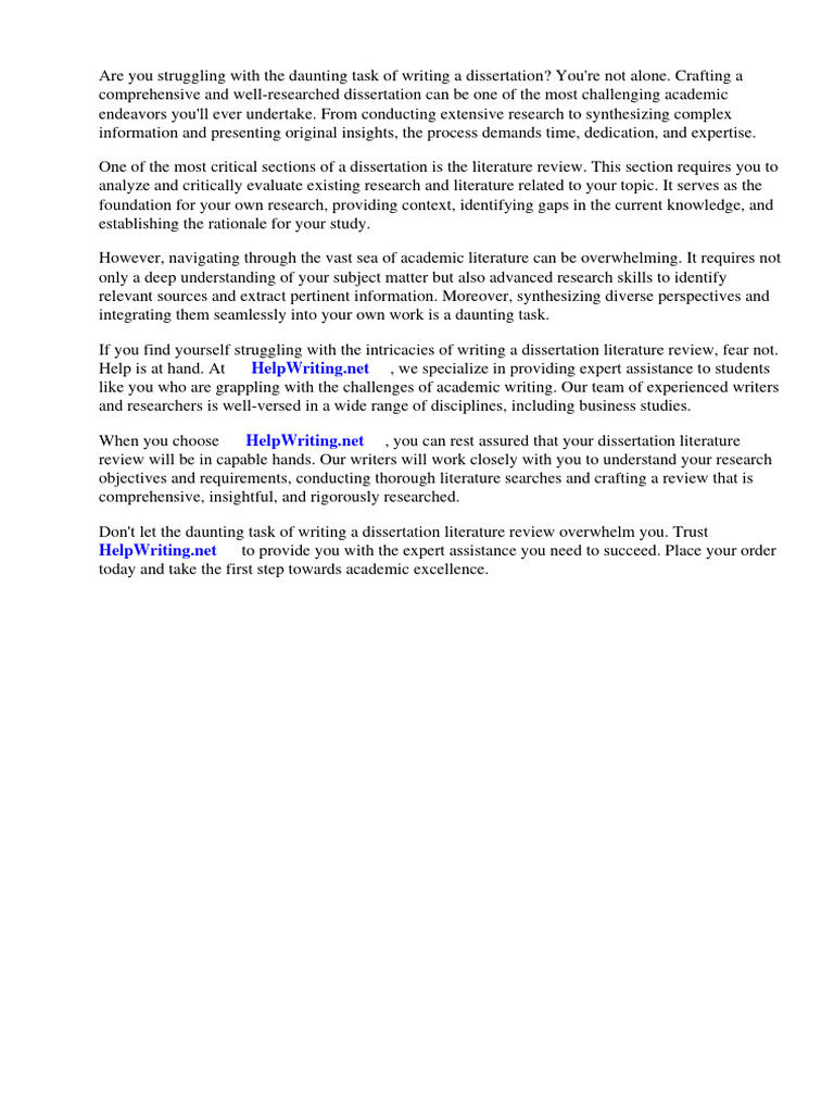 Business Dissertation Literature Review Example | PDF | Thesis ...