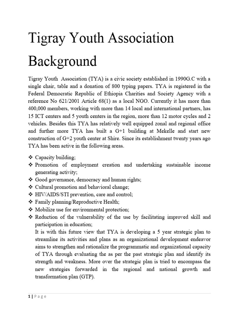 Tigray Youth Association | PDF | Strategic Planning