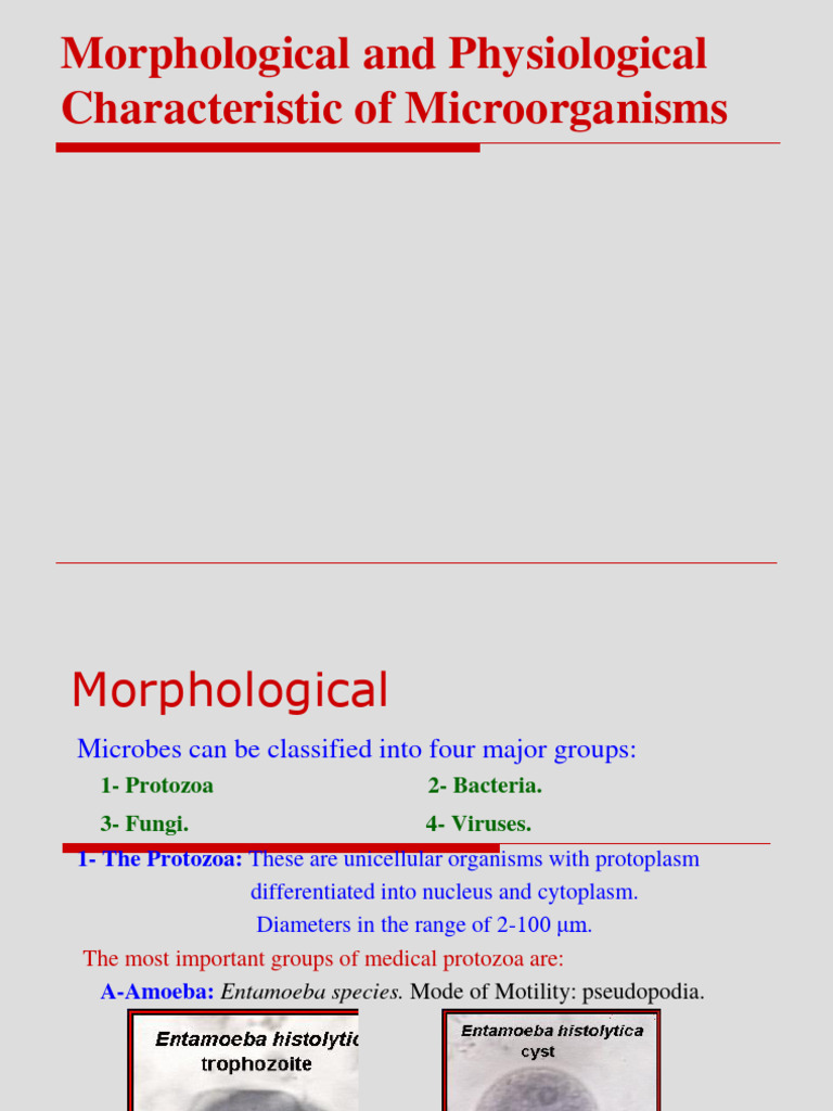 Microorganisms Morphology and Physiology | PDF | Bacteria | Cell Membrane
