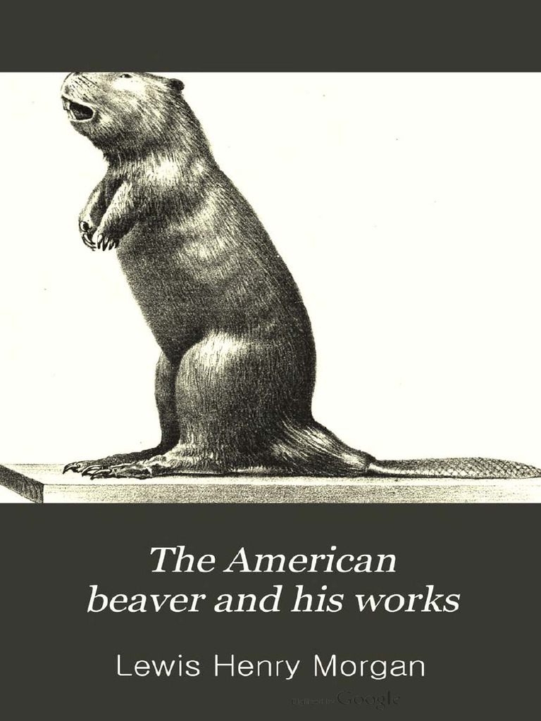 Morgan - The American Beaver and His Works | PDF | Mind | Reason