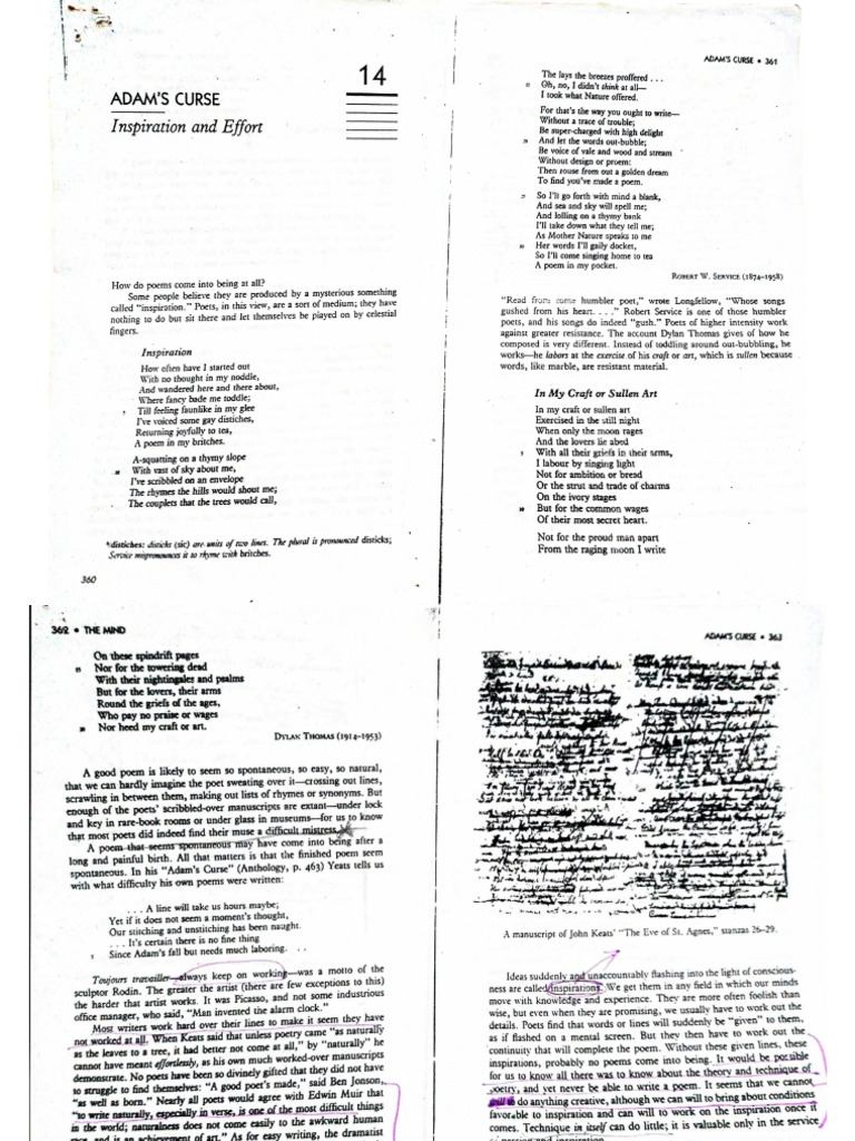 Adams Curse Inspiration and Effort | PDF