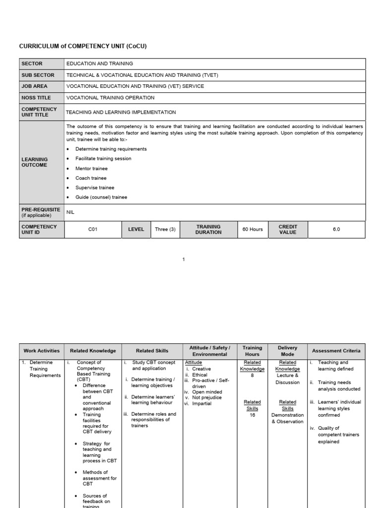 VTO CU1 | PDF | Mentorship | Learning