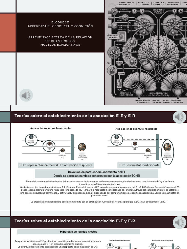 Presentación Contenidos BIII - Modelos Explicativos | PDF | Atención | Aprendizaje