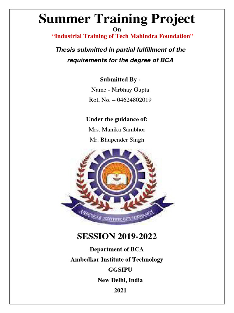 046 Nirbhay Gupta Summer Training Report | PDF | Microsoft Excel | Microsoft Word