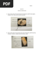 Function and Role of Plumule in Seeds | PDF | Seedling | Biology