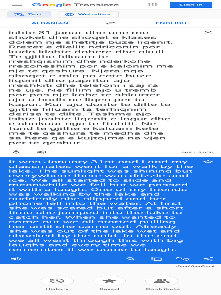 Google Translate | PDF