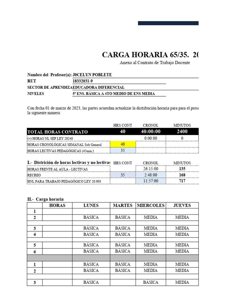 Ejemplo De Carga Horaria Pdf