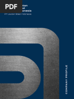 MU-302 Plester | PDF