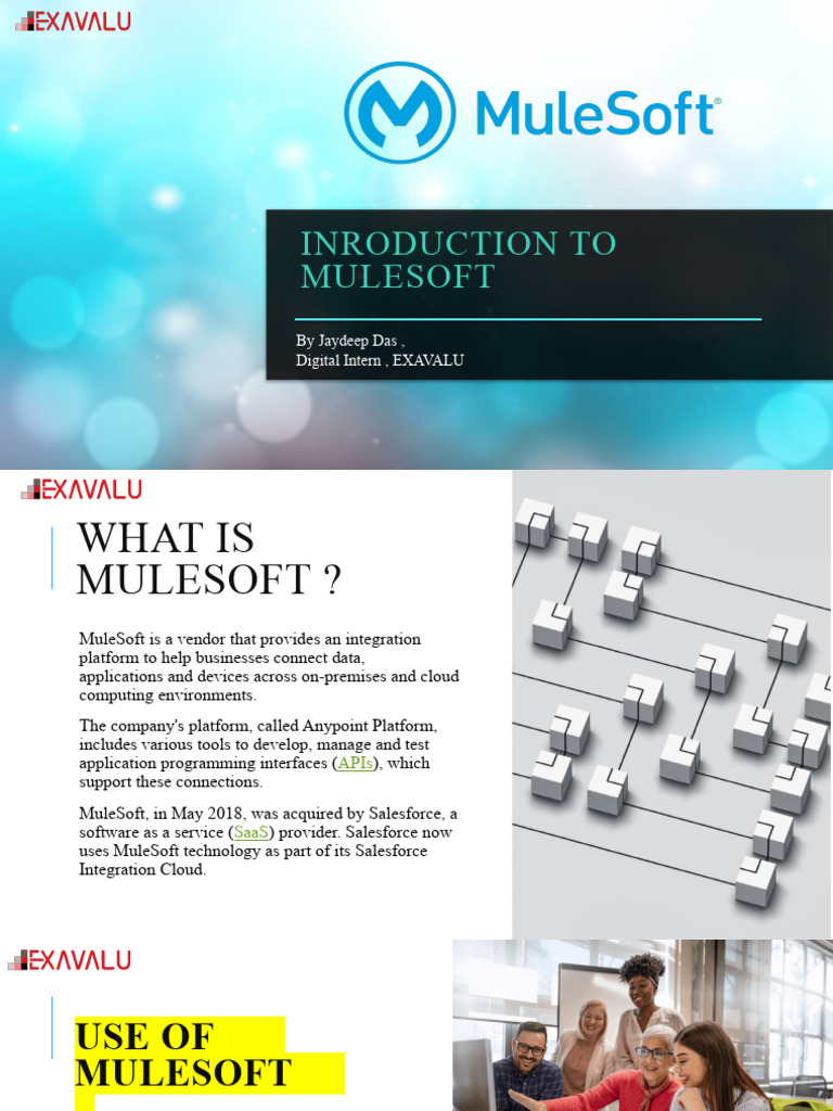 MuleSoft CaseStudy | PDF | Cloud Computing | Software As A Service