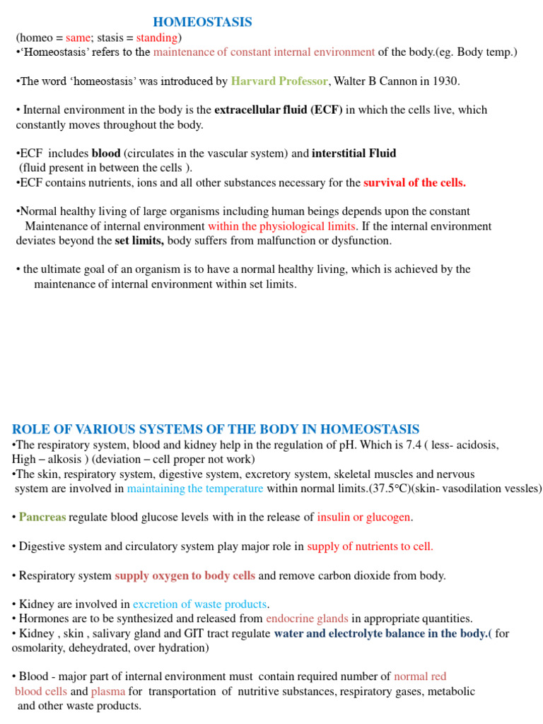 HOMEOSTASIS | PDF | Homeostasis | Human Body