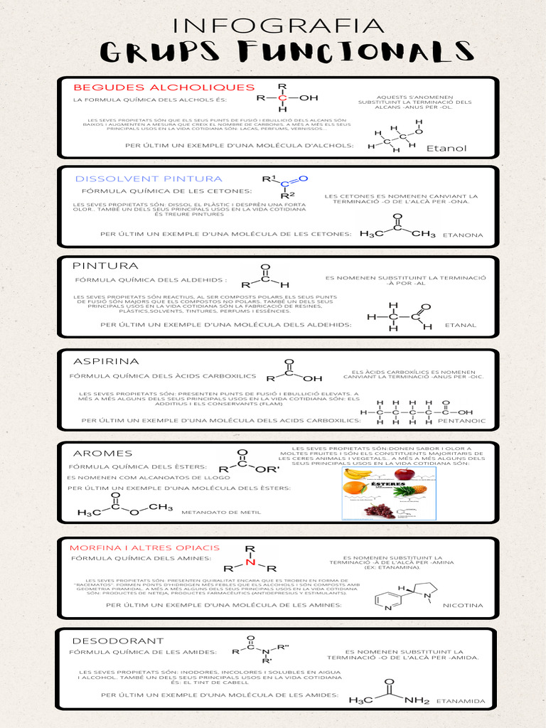 Infografia Grups Funcionals | PDF