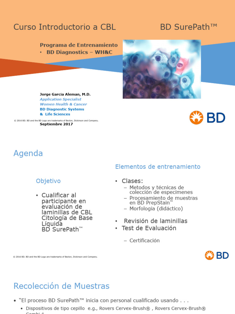Curso Esencial de Morfología Base Liquida BD SUREPATH Nov 2020 | PDF ...