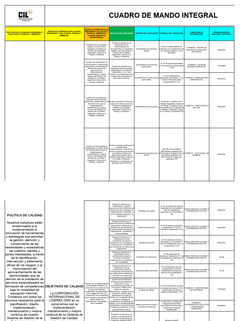 Cuadro de Mando Integral - CIL ONG | PDF | Gestión de la calidad | Sistema de manejo de calidad