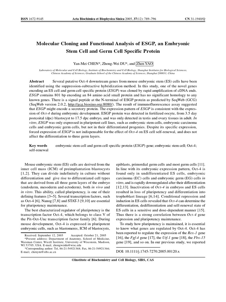 Molecular Cloning and Functional Analysis of ESGP, An Embryonic Stem Cell and Germ Cell Specific ...