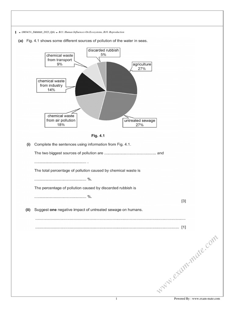 B13 Worksheet | PDF