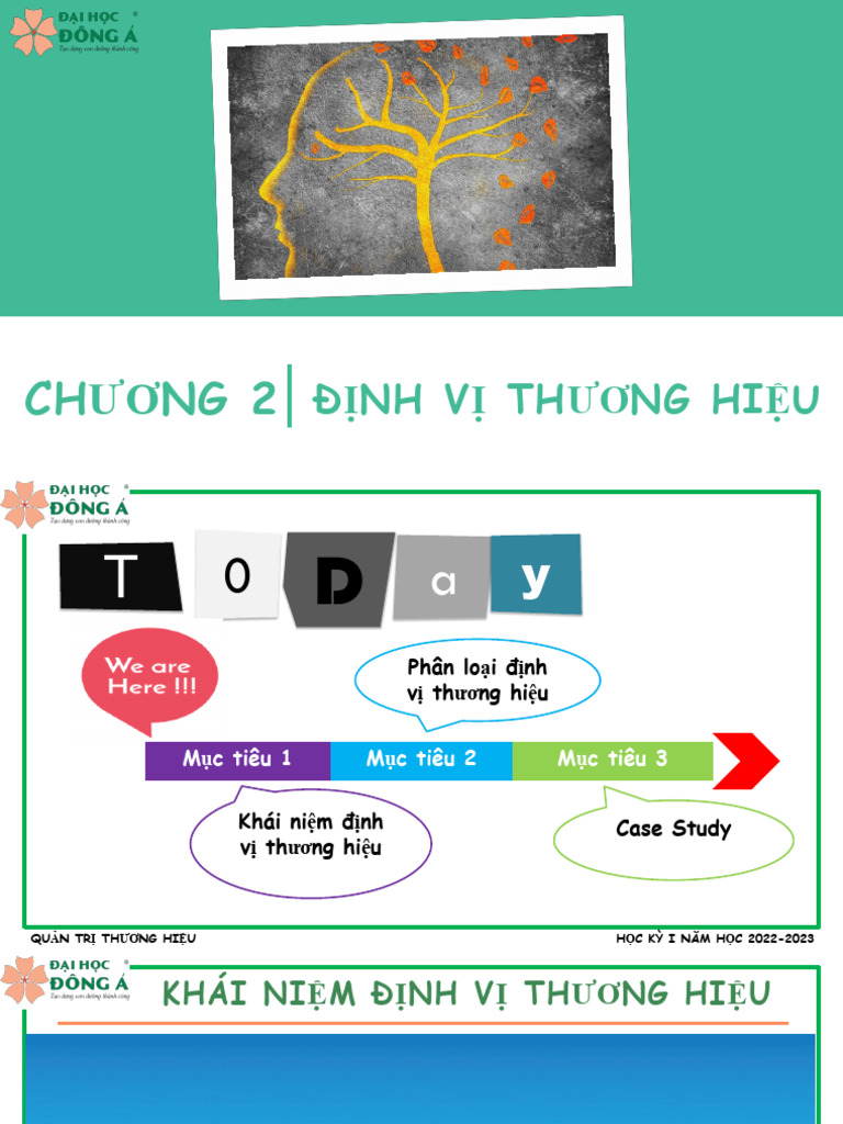 Chapter 2 Brand Management Pdf