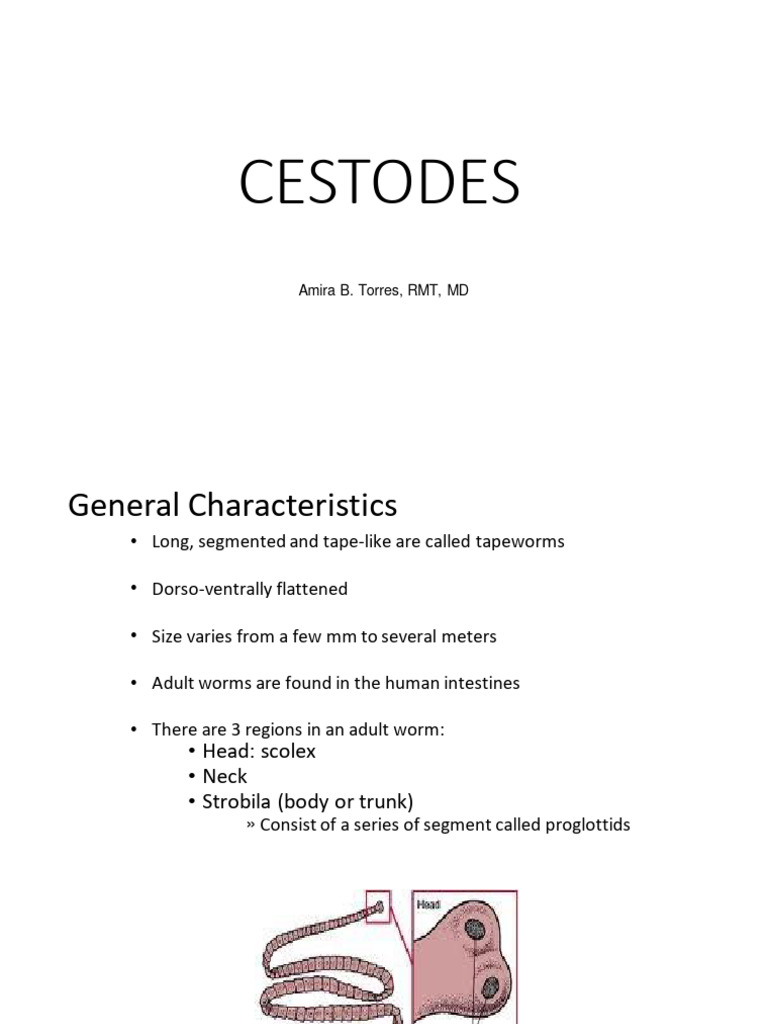 Cestodes Final | PDF | Medical Specialties