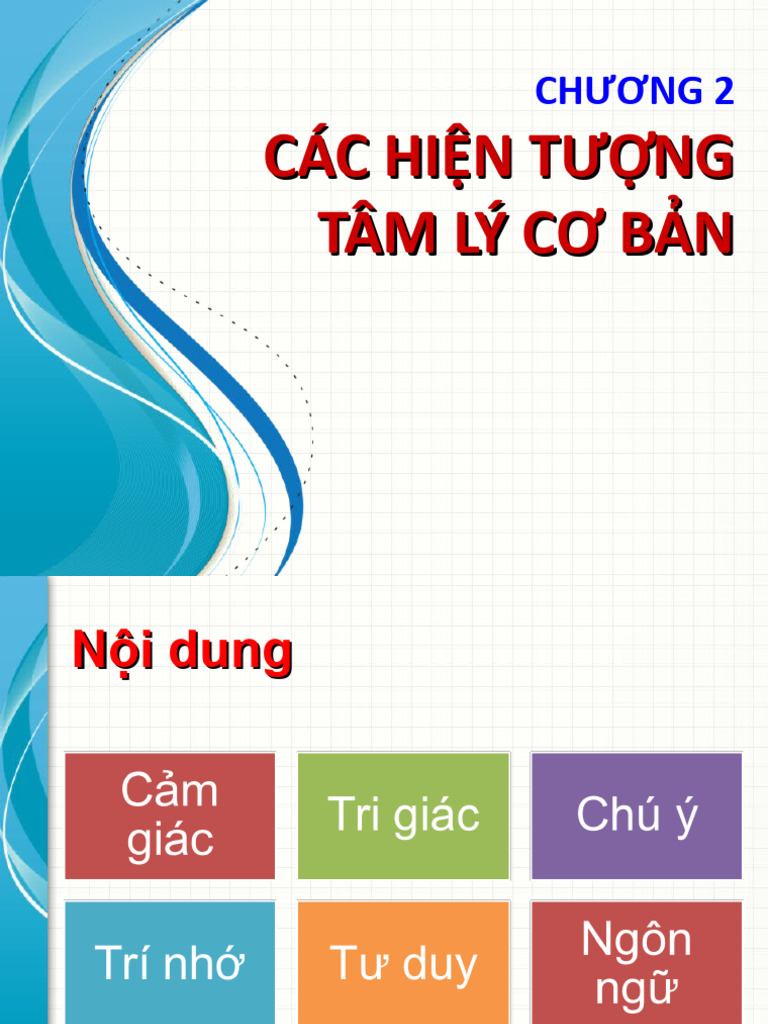 TLH DC - Chuong2.2020.nhan Thuc | PDF