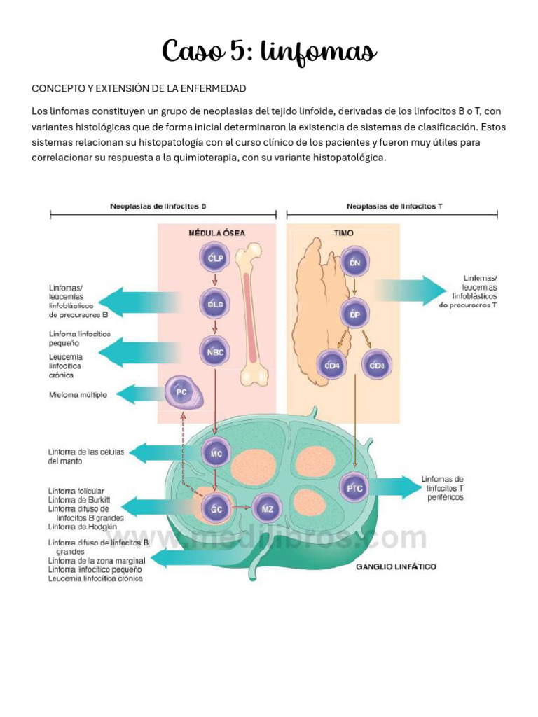 Caso 5 - Linfomas Final | Descargar gratis PDF | Linfoma | Medicina