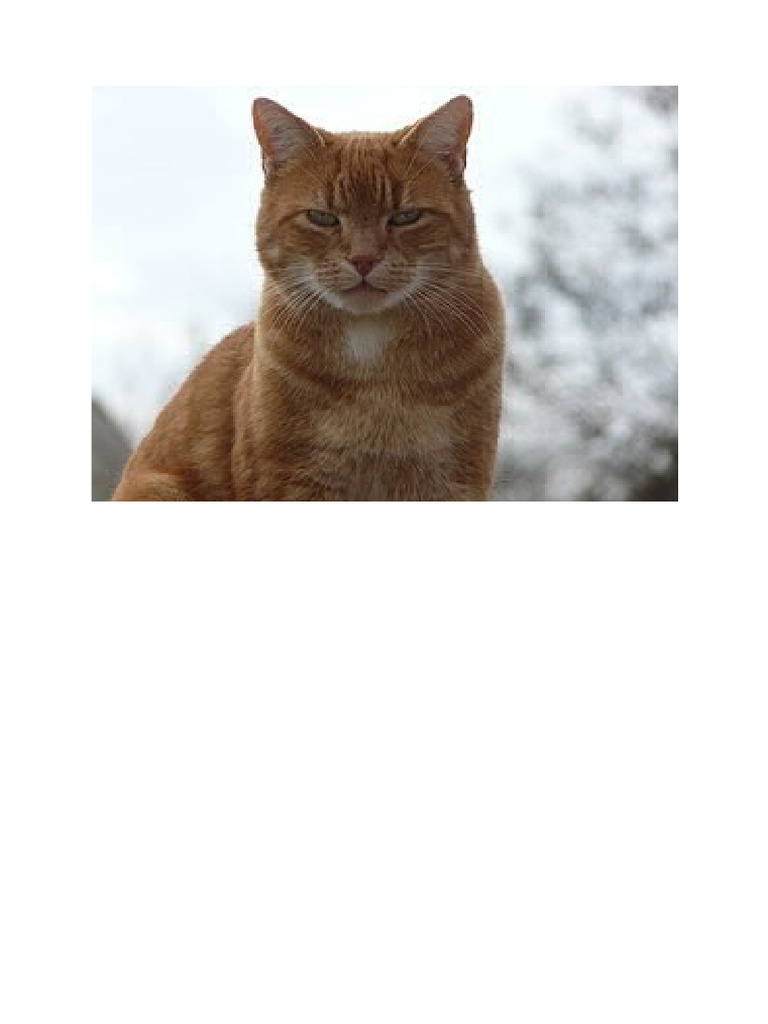 Chat 5 | PDF