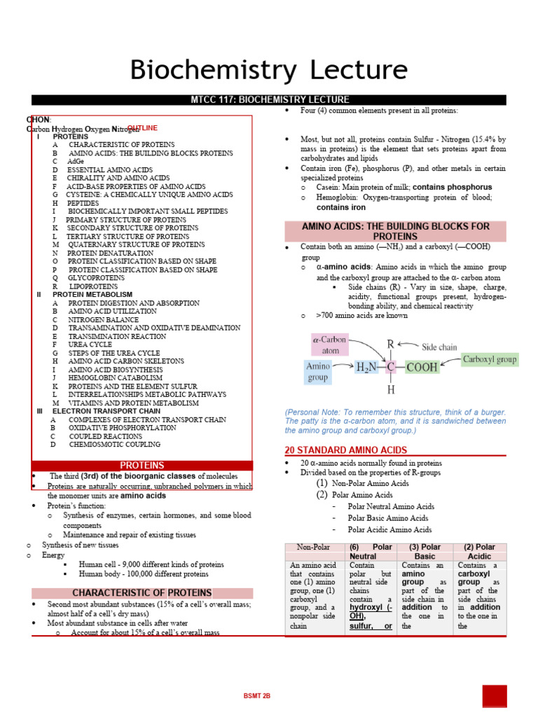Biochem Etc Proteins | PDF | Amino Acid | Proteins