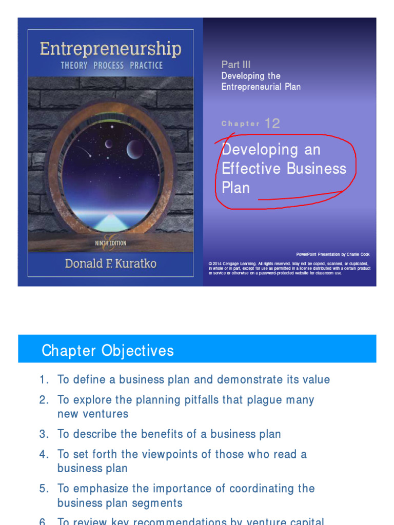 Effective Business Plan Development | PDF | Entrepreneurship | Business