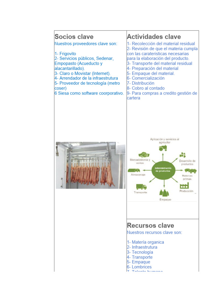 MODELO CANVAS Final | PDF | Economias | Business