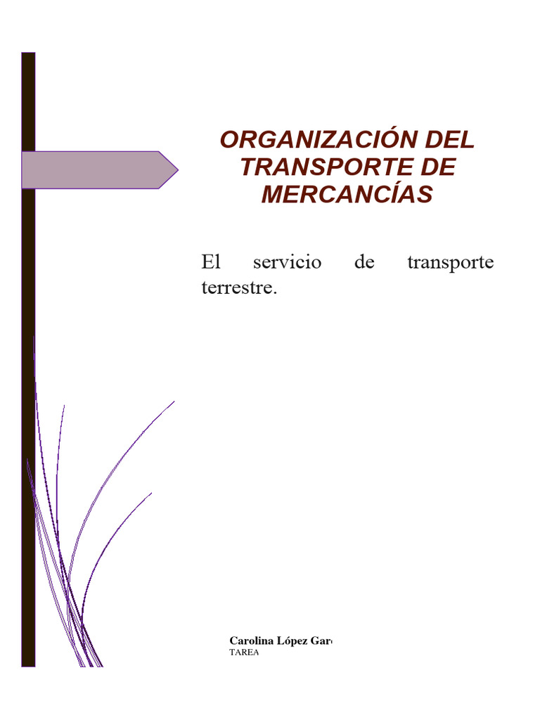 Lopez Garcia Carolina OTM01 Tarea | PDF | Documento de identidad | Transporte